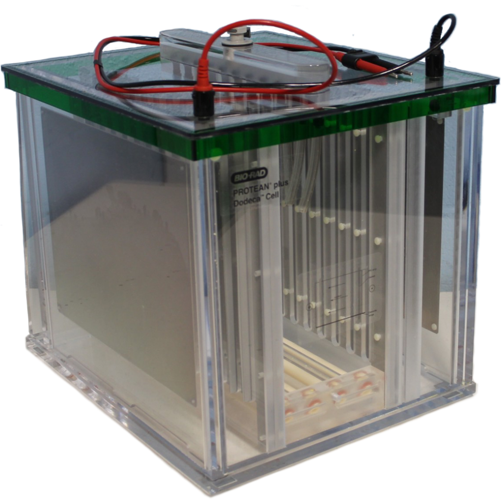 Bio-Rad Protean Plus Dodeca cell - medikstore